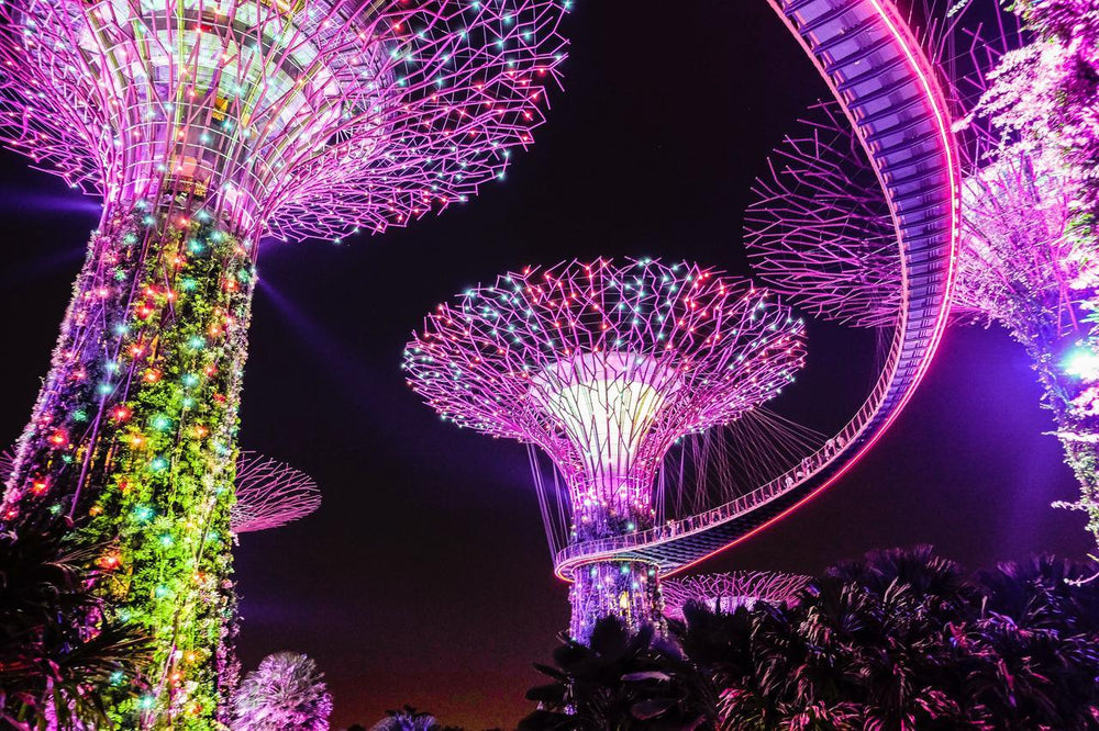 Future Garden | The Magical Glow of Neon Lights — NeonsignLife ...