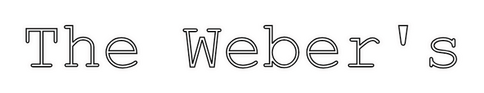 Custom LED Neon Signs The Weber's — NeonsignLife™ | Custom LED Neon Sign & Wall Decor Art